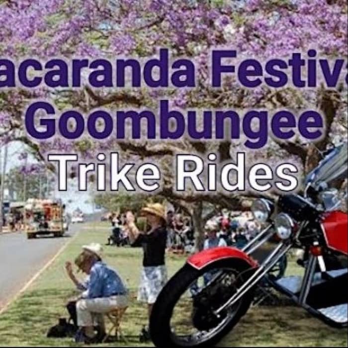 Jacaranda Day Goombungee Trike Tours tickets | Buy & sell tickets, tour ...